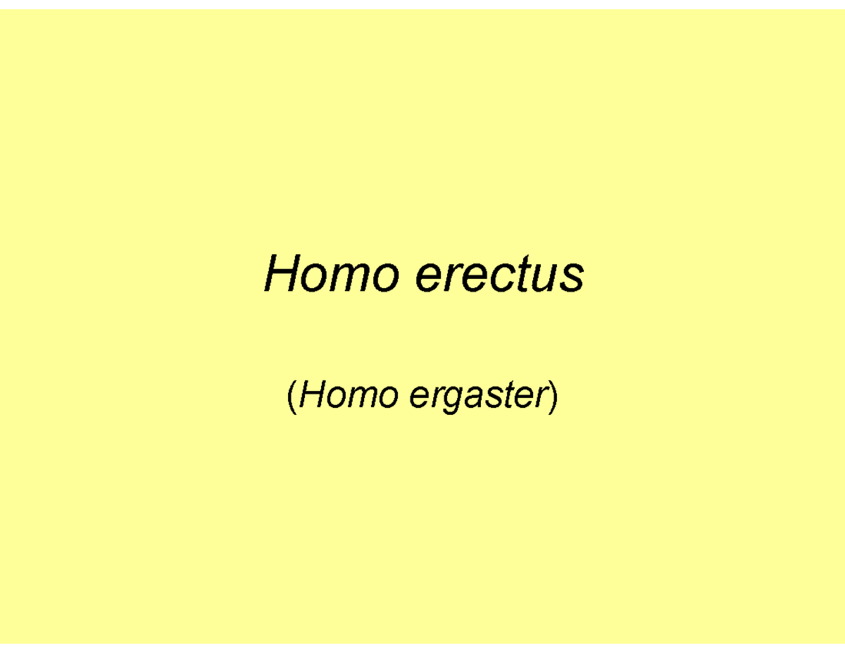 Homo Erectus & Ergaster: A Brief History and Morphological Overview ...