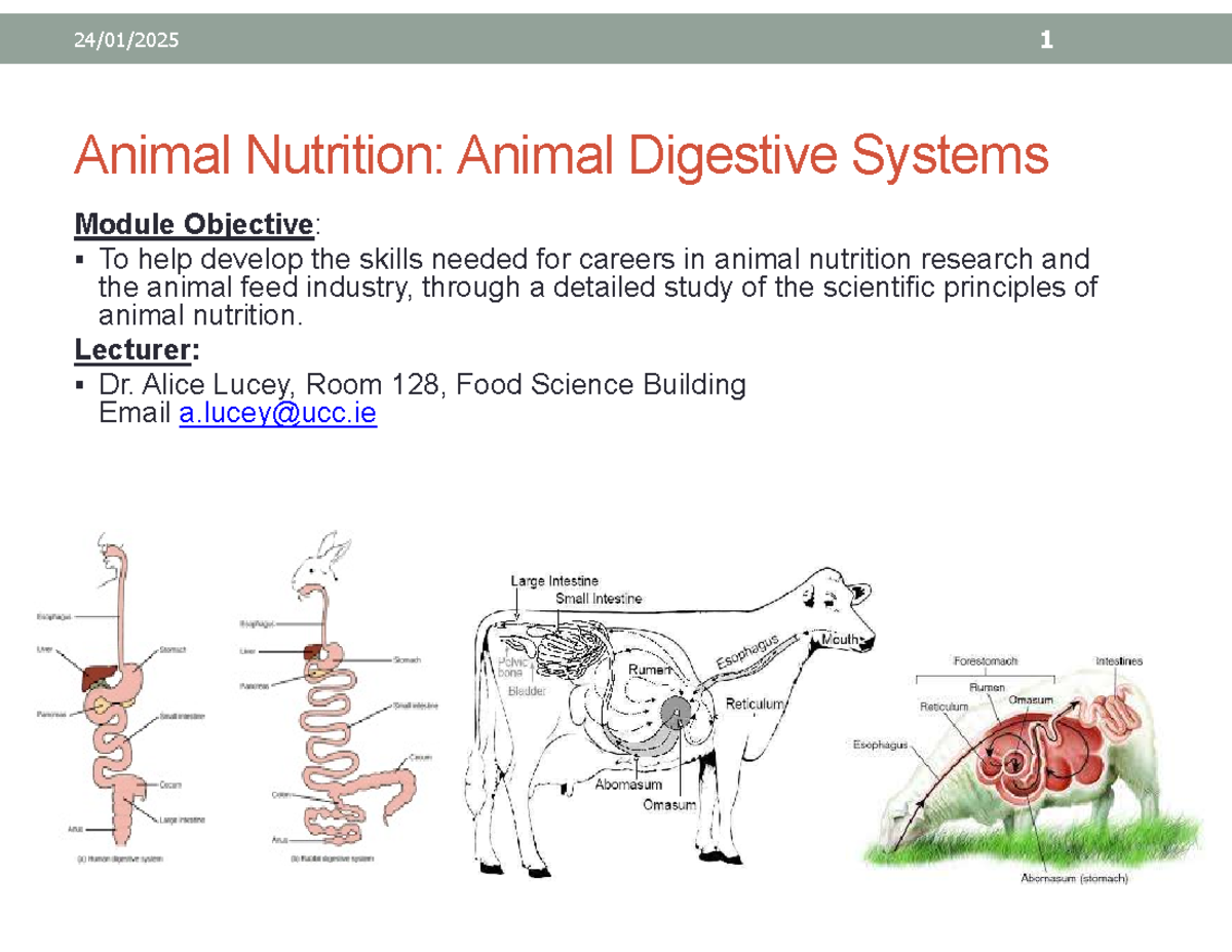 Monogastric Digestive Systems: Insights on Poultry and Pigs in Animal ...