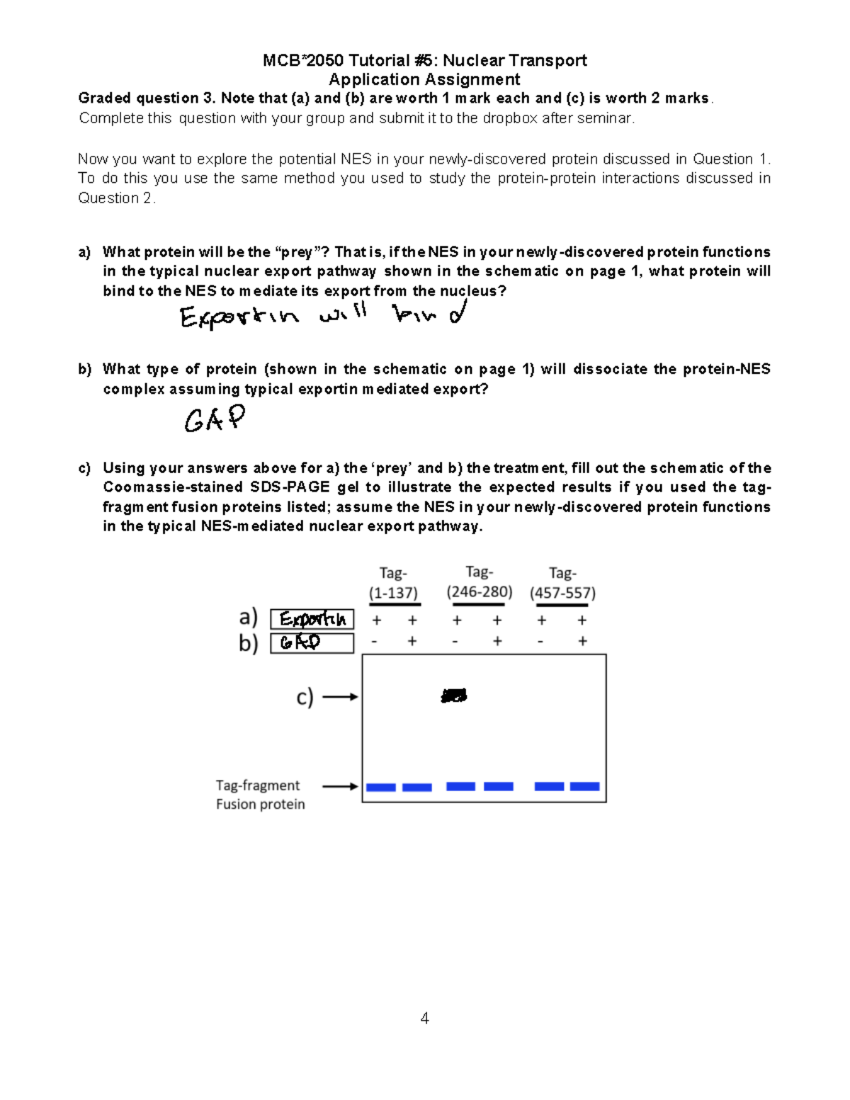 MCB*2050 Tutorial #5: Nuclear Transport and Export Mechanisms - Studocu