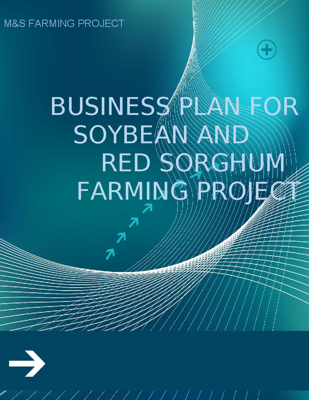 Farming project business plan for soybean and red sorghum farming - Studocu