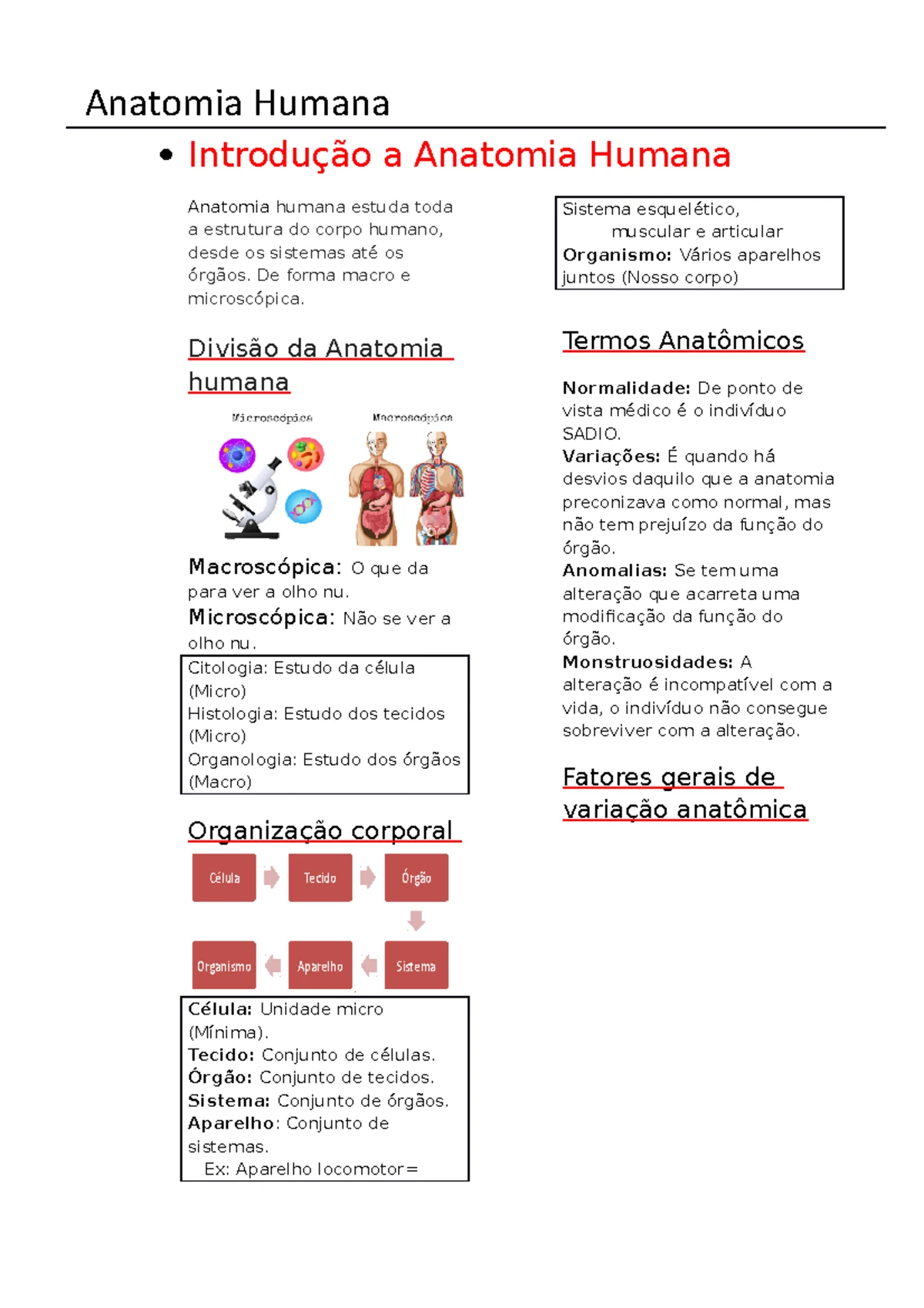 Anatomia II Parte 1 - Estudo das artérias de cabeça e pescoço ...