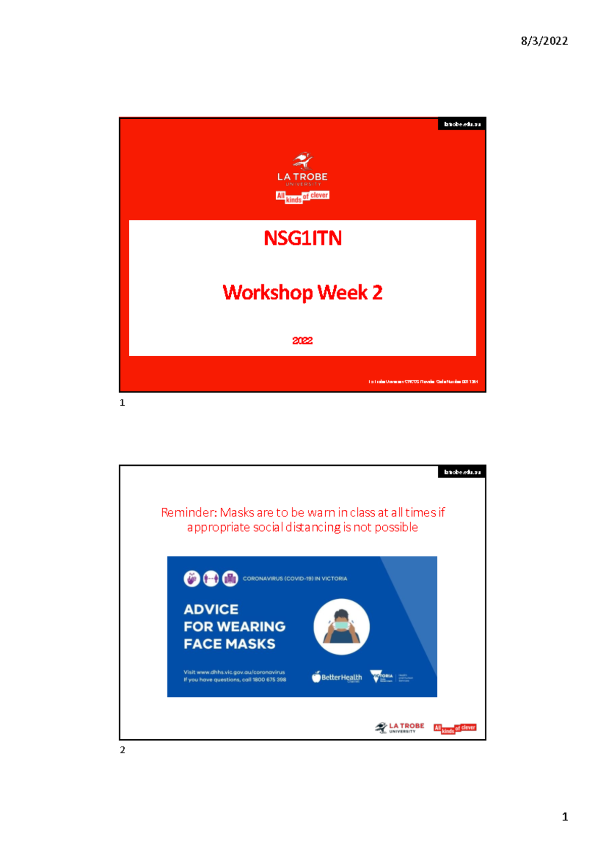 NSG1ITN Workshop 2: Professional Boundaries in Nursing & NSQHS ...