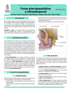 Cultura y Tradición de la Región Centro Occidental de Venezuela ...