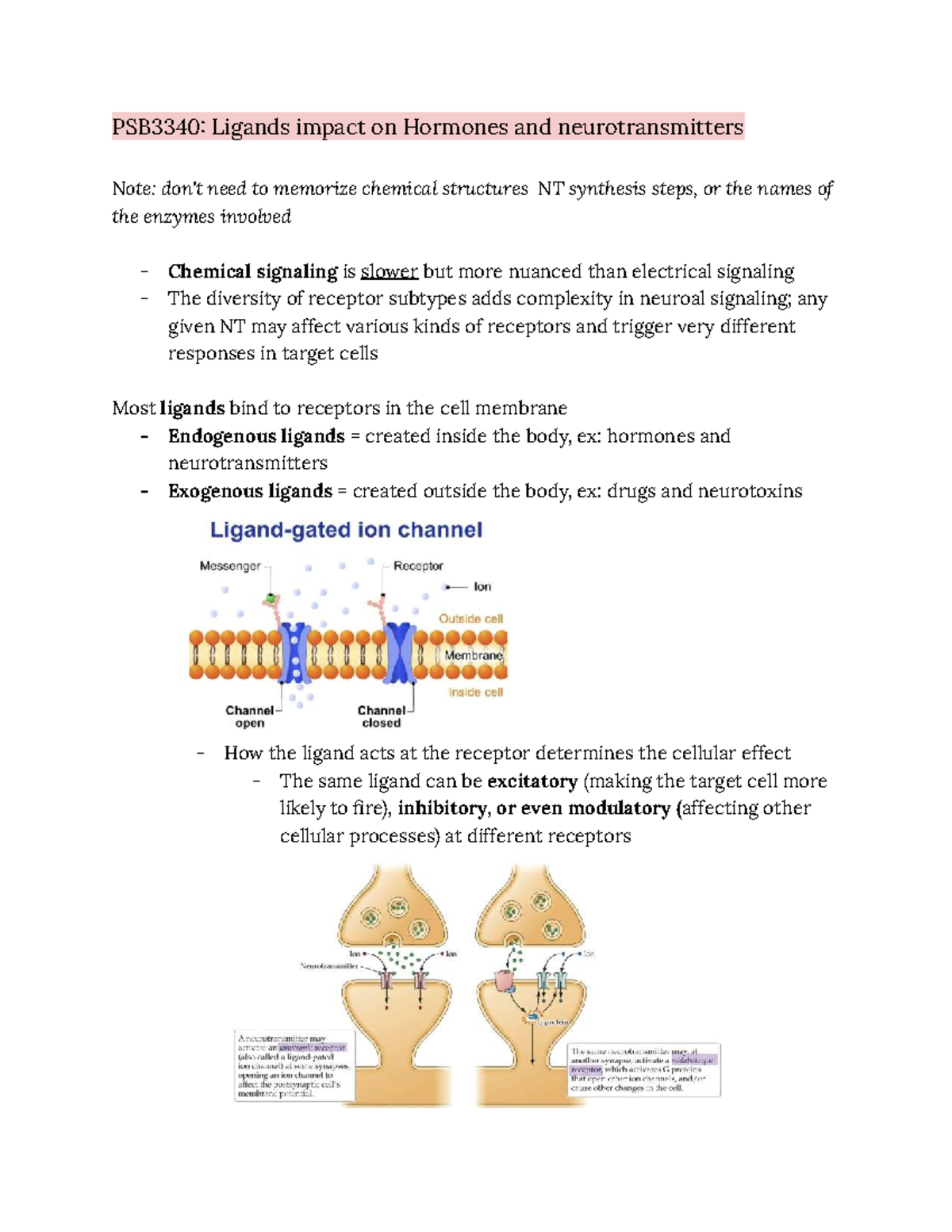 PSB3340: Overview of Hormones, Neurotransmitters, and Ligands - Studocu