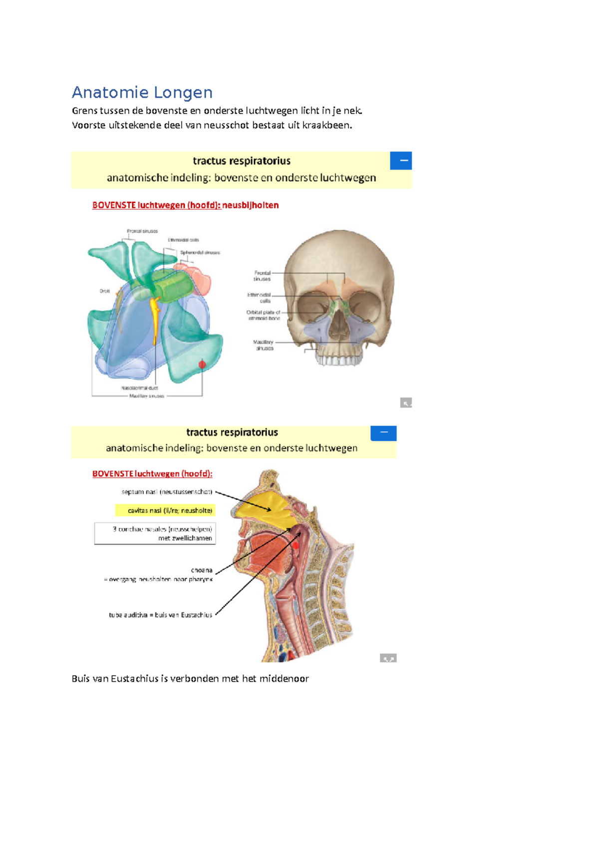 Anatomie Longen - College-aantekeningen 1-2 - Universiteit Twente ...