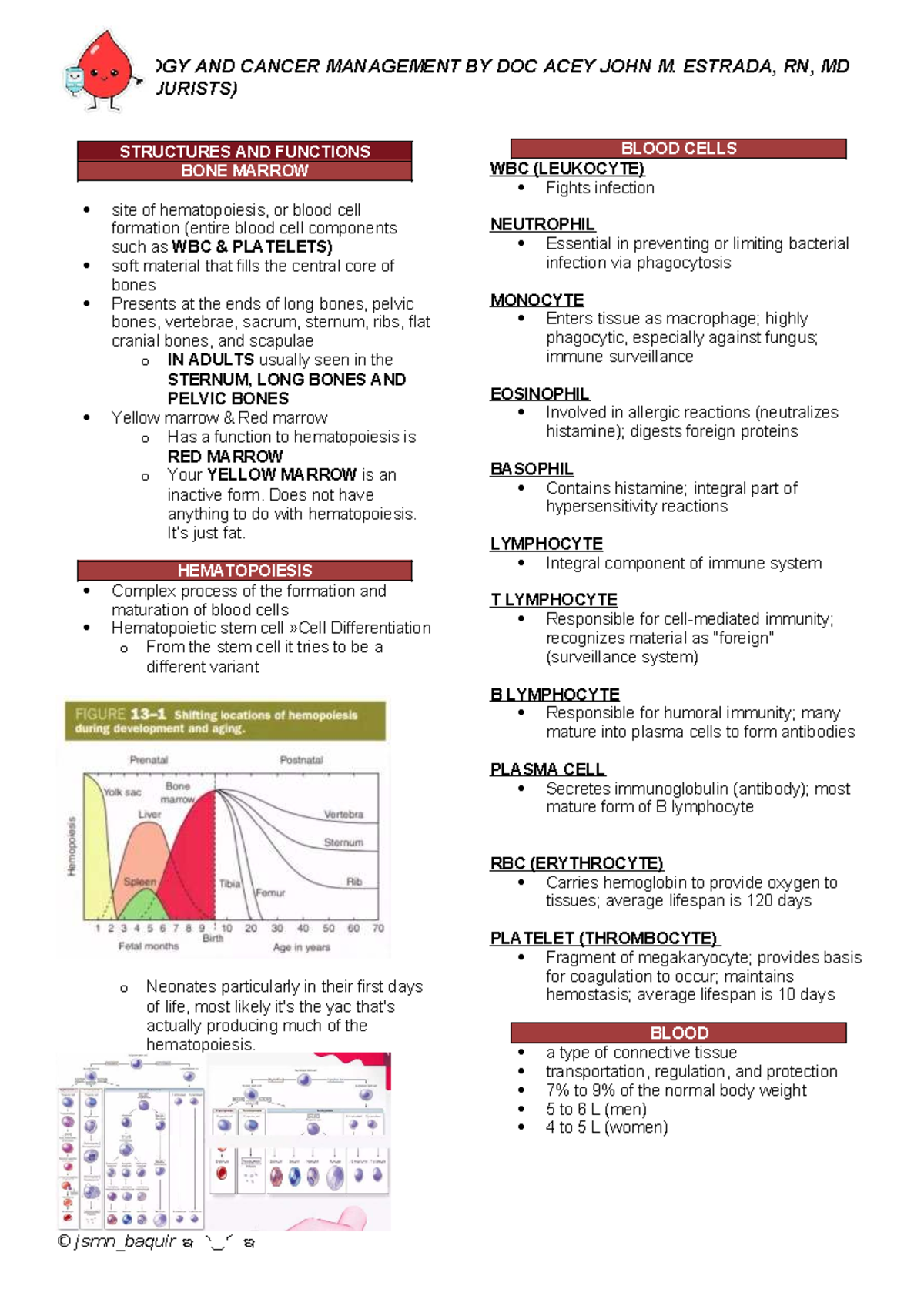 Hematology and Cancer Management: Structures and Functions of Bone ...