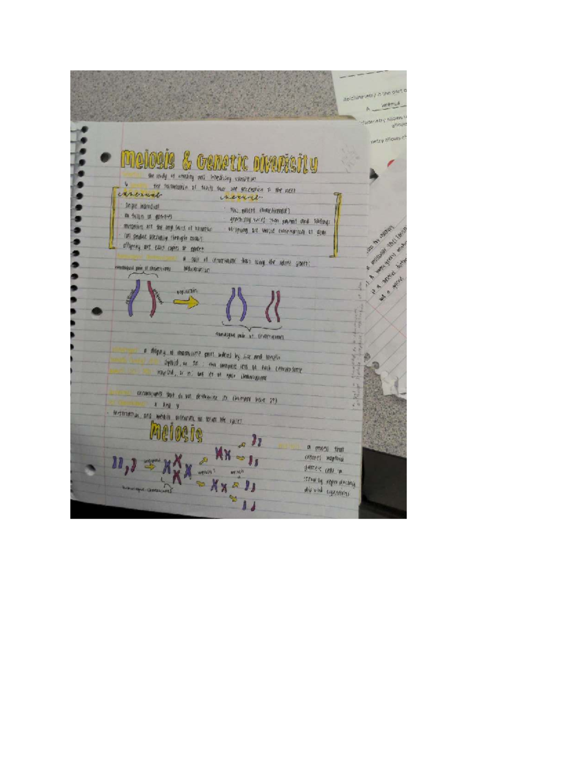 Biology Notes - Unit 8: Meiosis, Genetic Diversity & Ecology Concepts ...