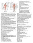 Cheat sheets for Studying Anatomy and Physiology in Honors - Studocu