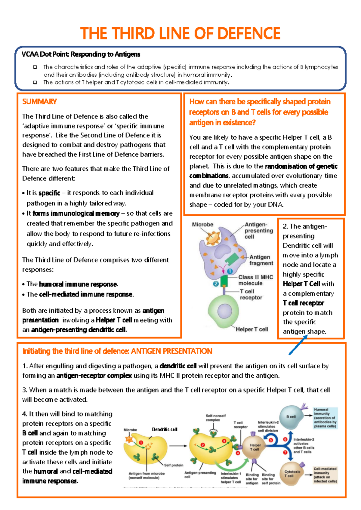 The Third Line of Defence Theory Notes - THE THIRD LINE OF DEFENCE VCAA ...