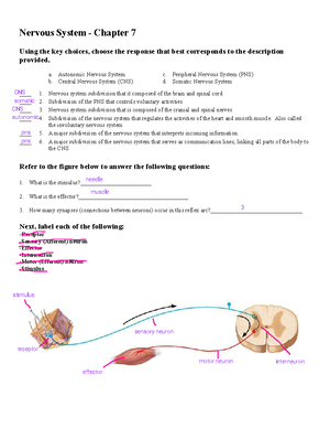 Anatomy & Physiology - Science Olympiad cheat sheet for 2024-2025 ...