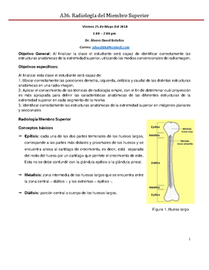 A41- Compartimentos musculares miembro inferior, Región cinturón ...