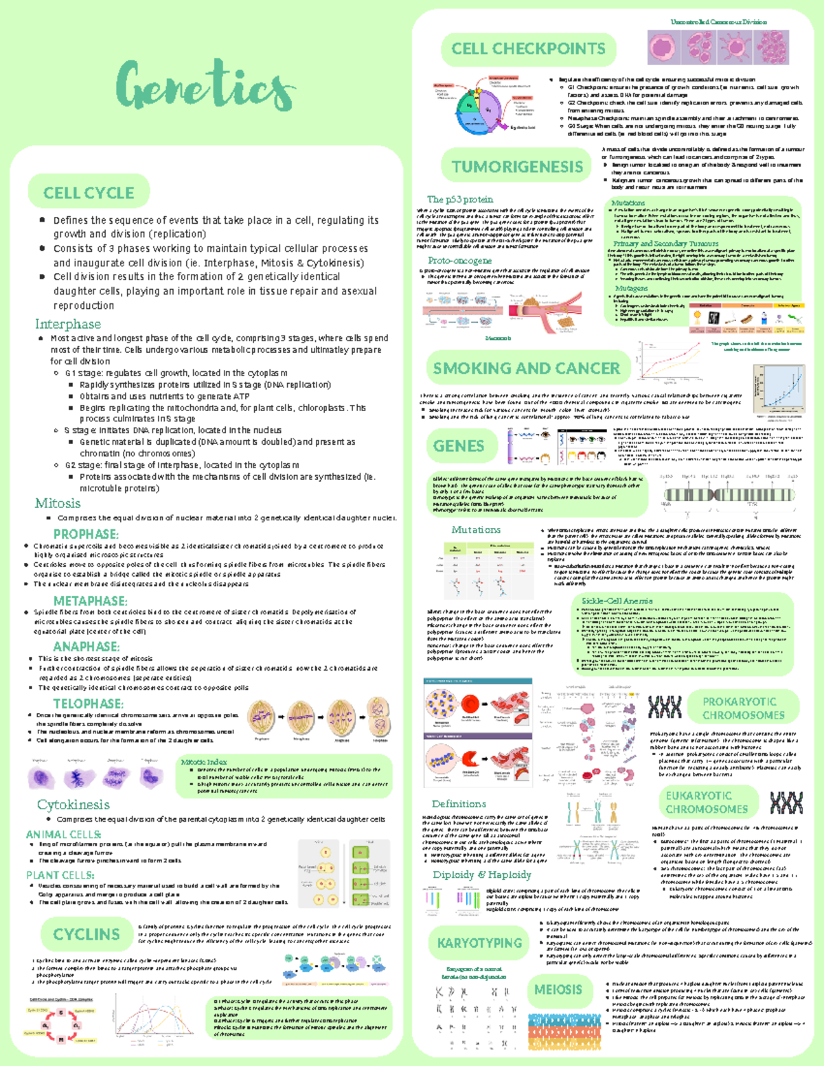 CELL CHECKPOINTS & TUMORIGENESIS: Genetics of Cancer (BIO 101) - Studocu
