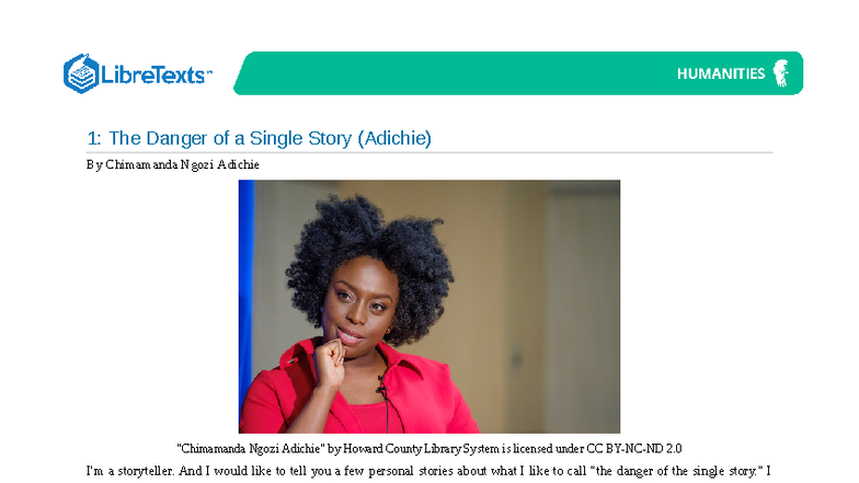 The Danger of a Single Story: Insights from Chimamanda Ngozi Adichie ...