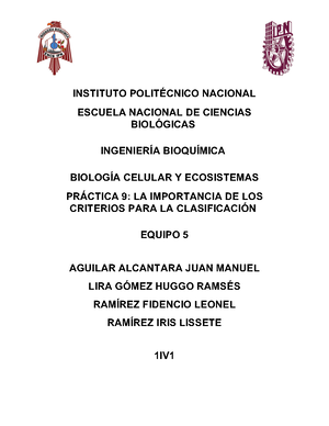AdministracióN DE OBRA Calendario DE OBRA - CLAVE DESCRIPCIÓN PRETIL DE ...
