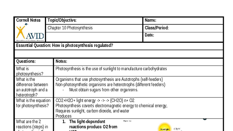 Cornell Notes: Chapter 10 - Photosynthesis Overview & Key Concepts ...