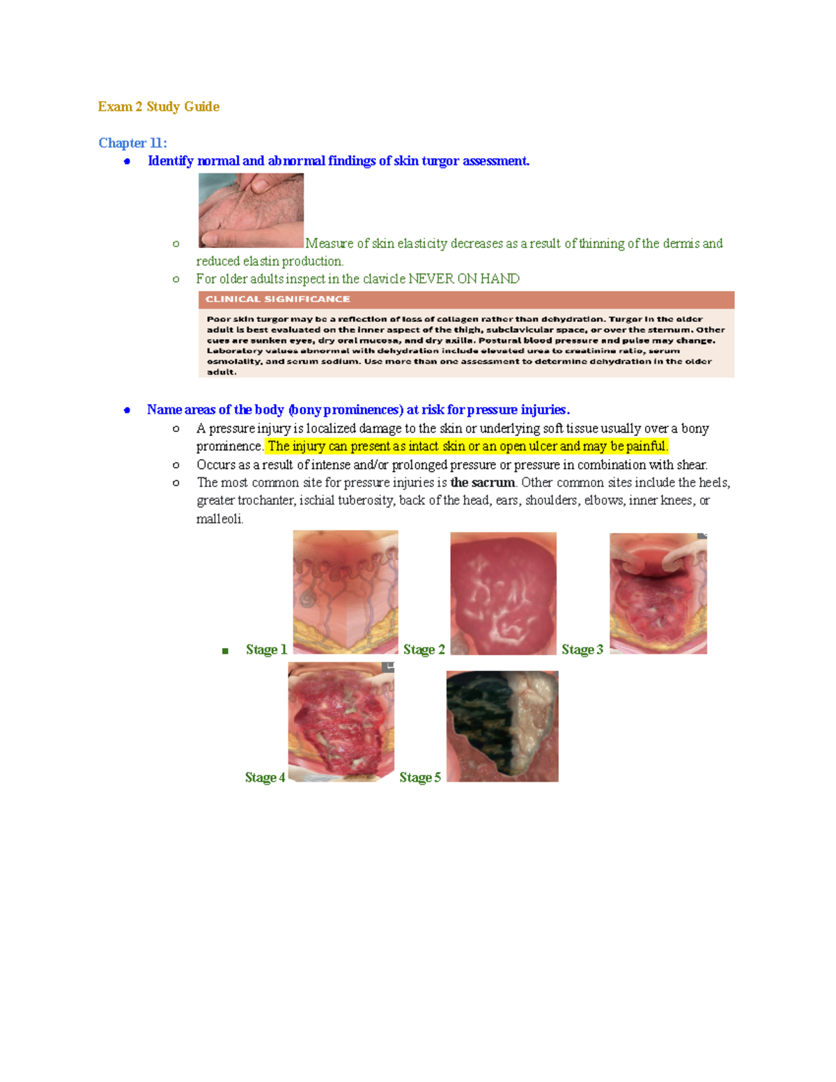 Exam 2 - health assessment - Exam 2 Study Guide Chapter 11: Identify ...