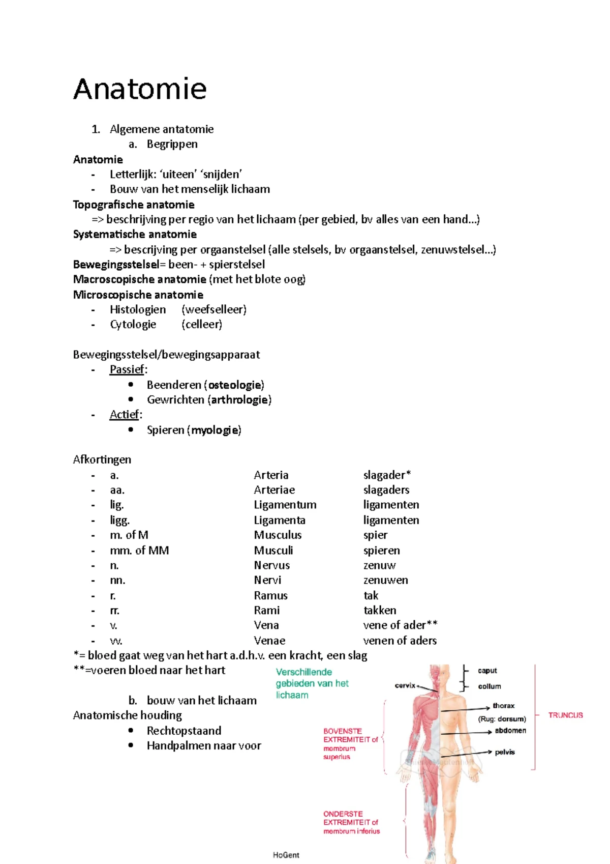 Anatomie van het Bloedvatenstelsel: Hart en Vaten (Biologie 101) - Studocu