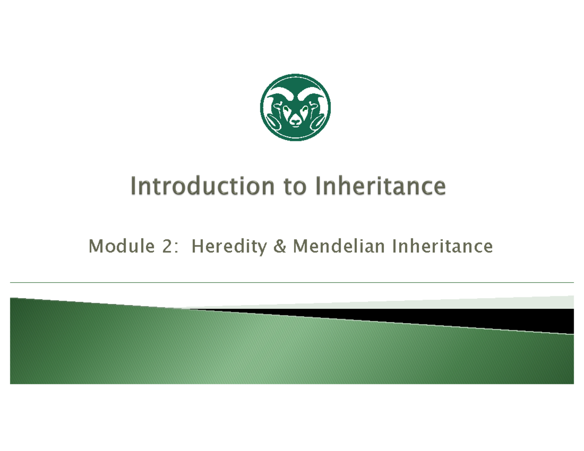 Mendelian Inheritance: Understanding Monohybrid and Dihybrid Crosses ...