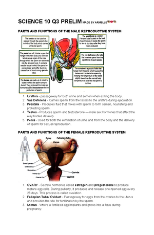 English 10 Reviewer - ENGLISH 10 REVIEWER 3RD PRELIMINARY EXAM OUR LADY ...