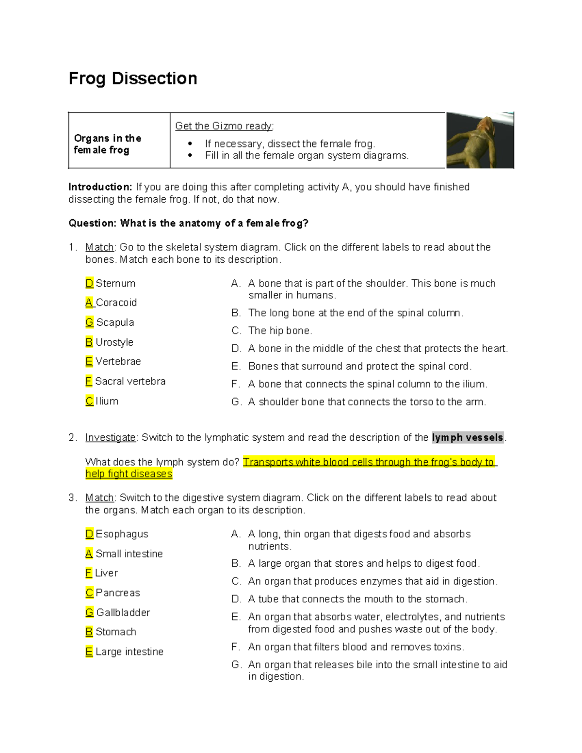 Frog Dissection Guide: Understanding Female Anatomy and Systems - Studocu