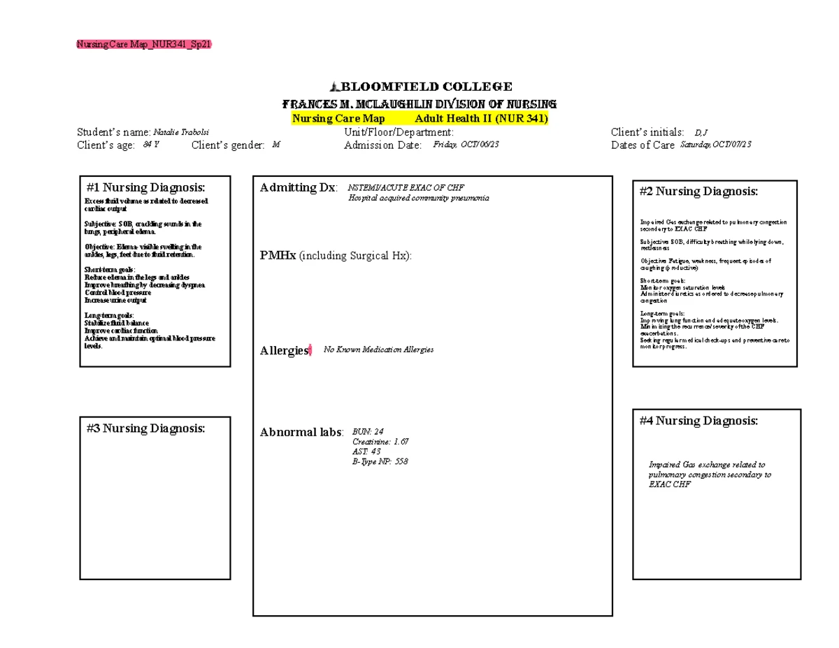 Nursing Care Map Final for Adult Health II (NUR 341) - Studocu