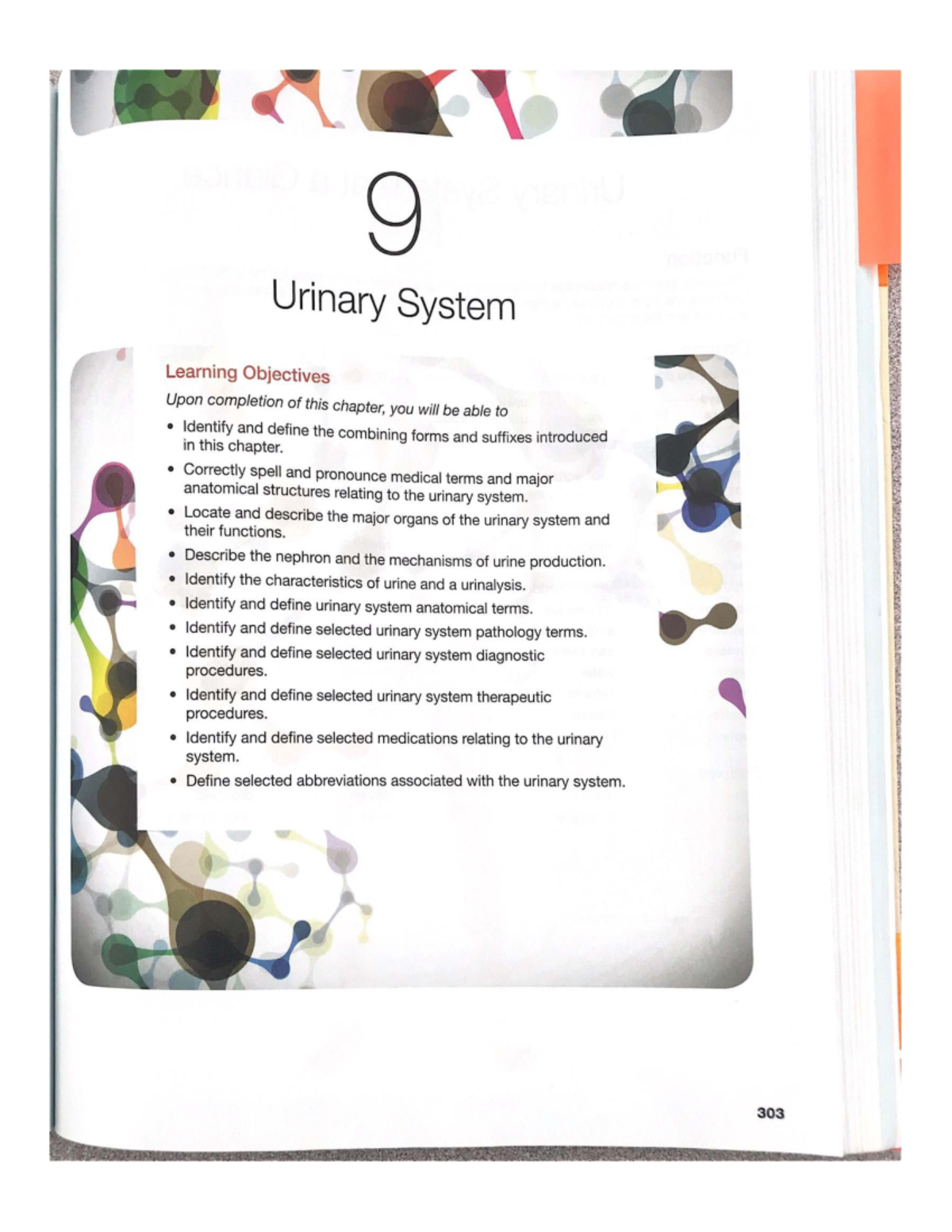 FHS Ch 9 Urinary System Textbook Pages 303-325 - rab 9 Urinary System ...