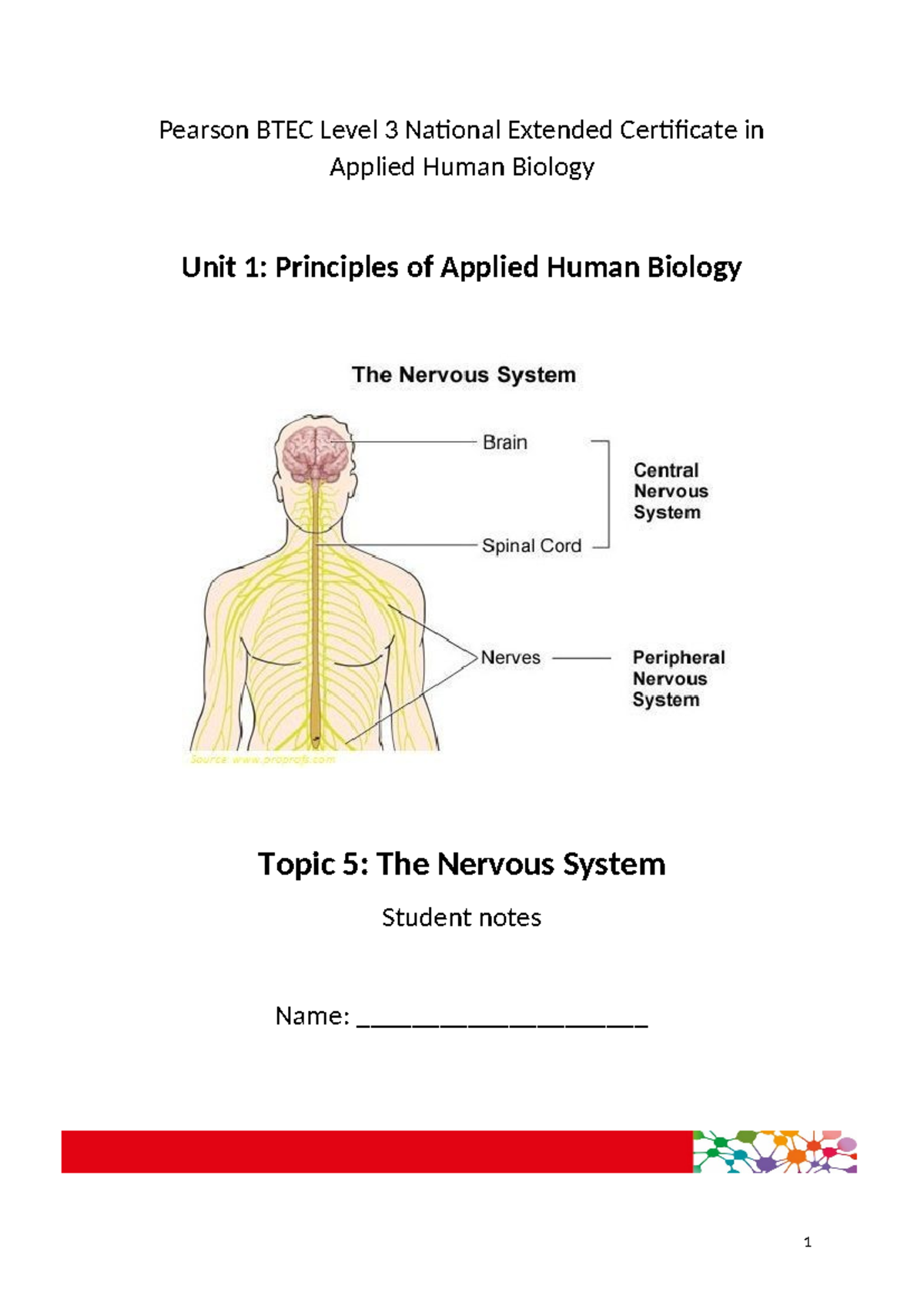 5-Nervous System - Student Notes on Nervous System Function and Tests ...