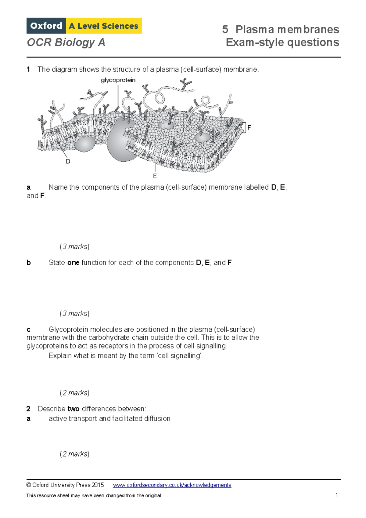 Plasma membranes Test - test ocr biologyg - OCR Biology A Exam-style ...