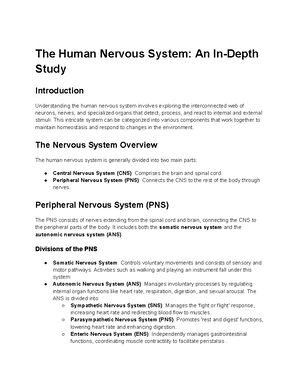 The Human Nervous System: An In-Depth Study and Overview - The Human ...