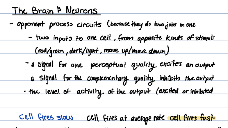 Neurons and Brain Functions: Key Concepts and Learning Principles - Studocu