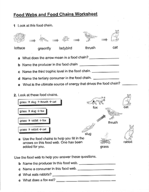 Andrew Howland - Ancient Rome Fall Worksheet - Ancient Rome Collapse ...