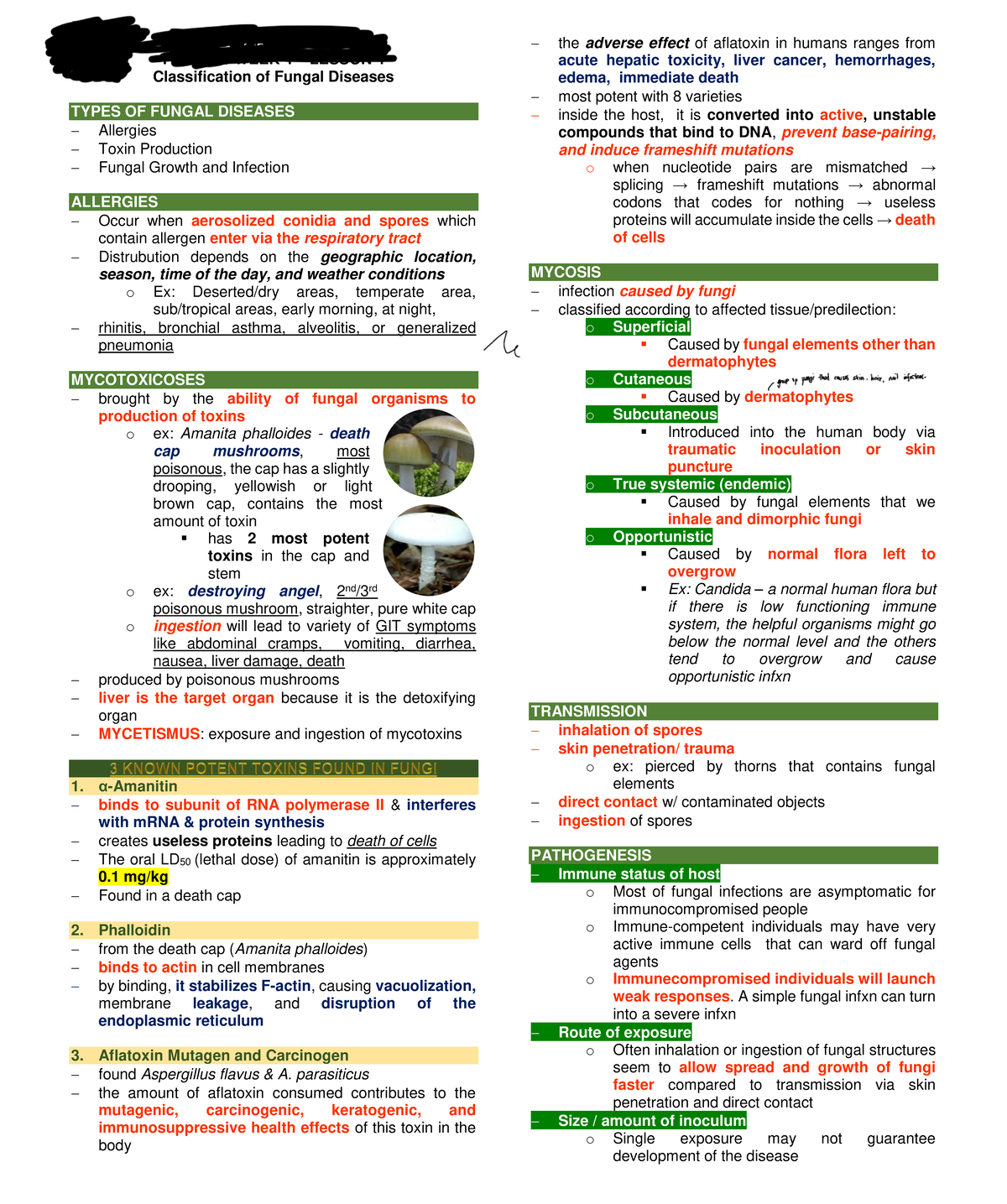MLS 415: Mycoviro Prelims Week 4 - Classification of Fungal Diseases ...