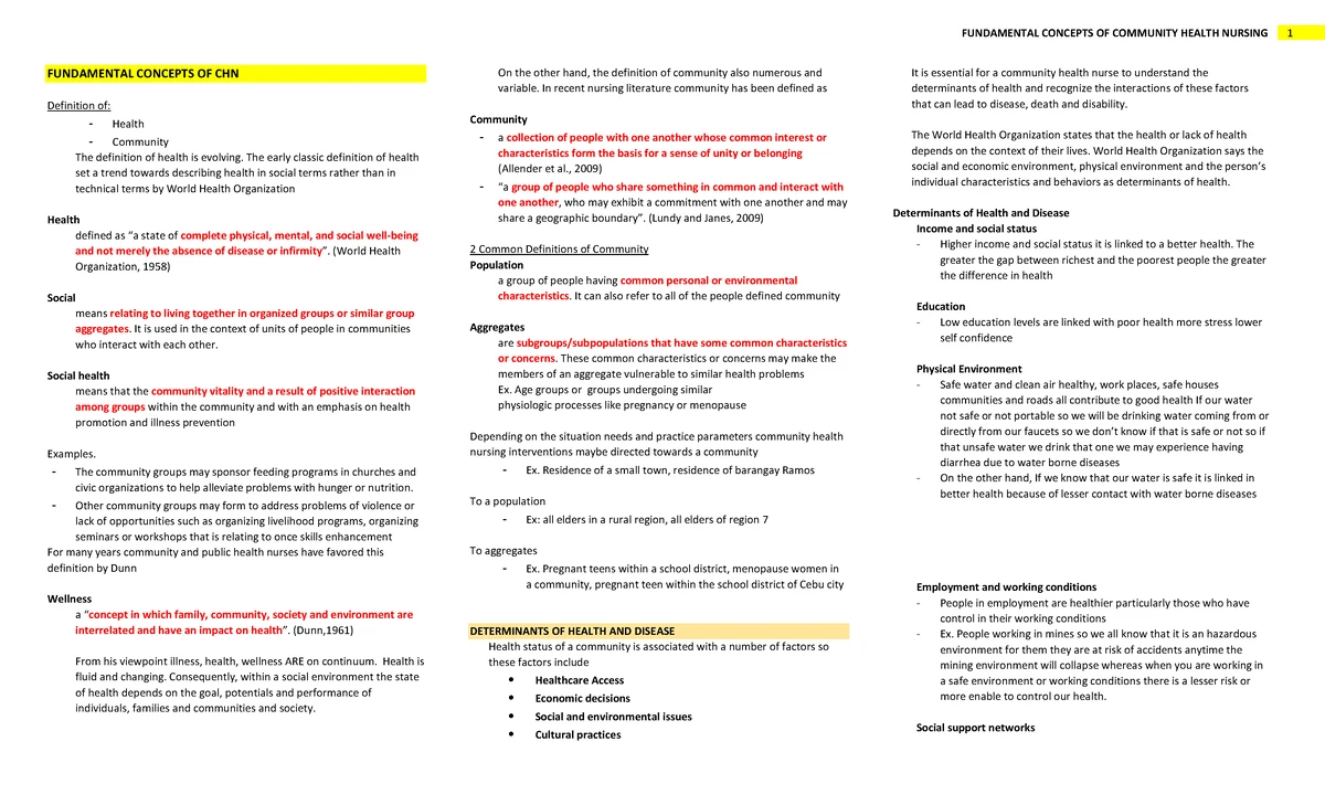 Copar 21-1 - Community Health Nursing - THE COPAR PROCESS (Prepared by ...
