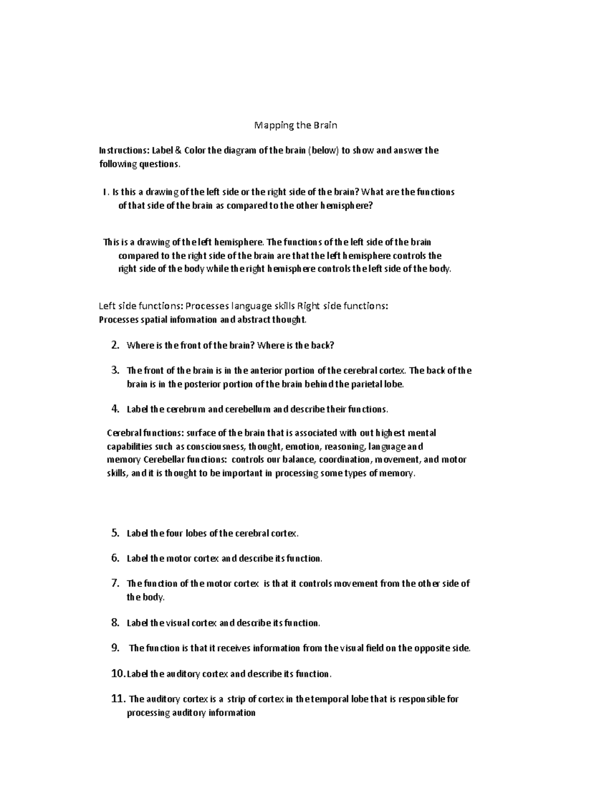 Brain Mapping Assignment: Labeling and Functions Explained - Studocu