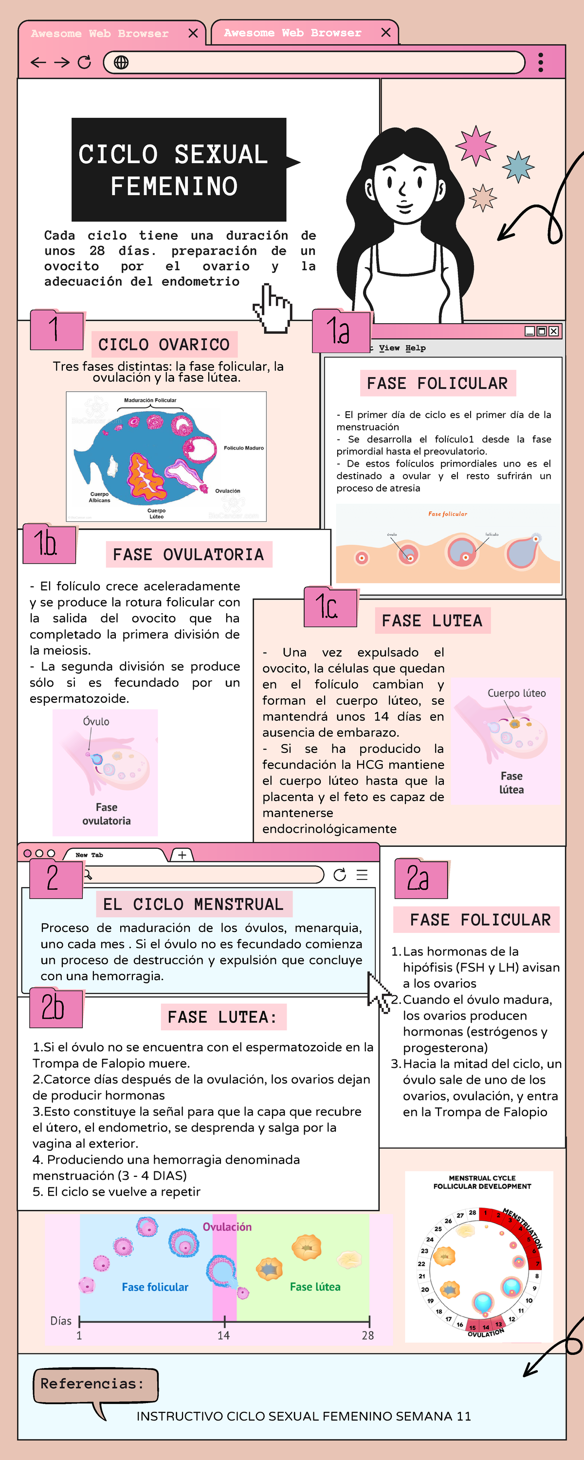Ciclo Sexual Femenino - Informacion - 1 1 1. 1. 2 2 2 CICLO SEXUAL FEMENINO Cada ciclo tiene una ...