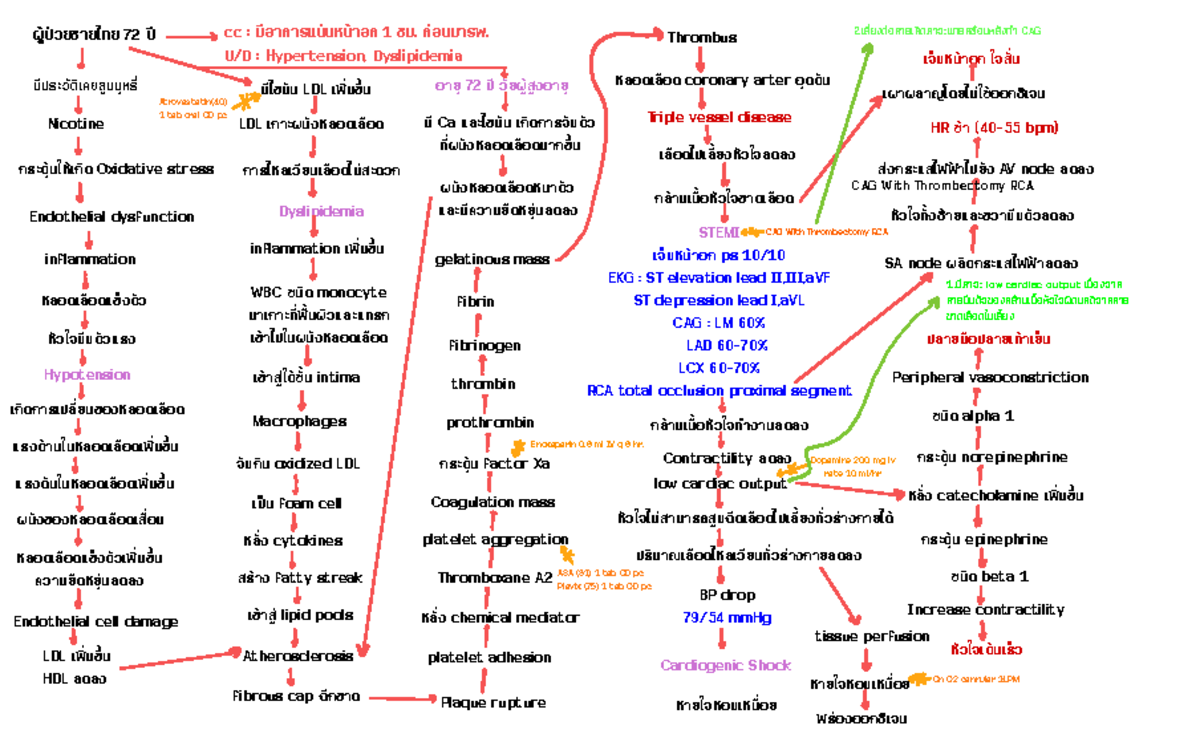 523 Stemi - Case Study on Acute Myocardial Infarction Analysis - Studocu