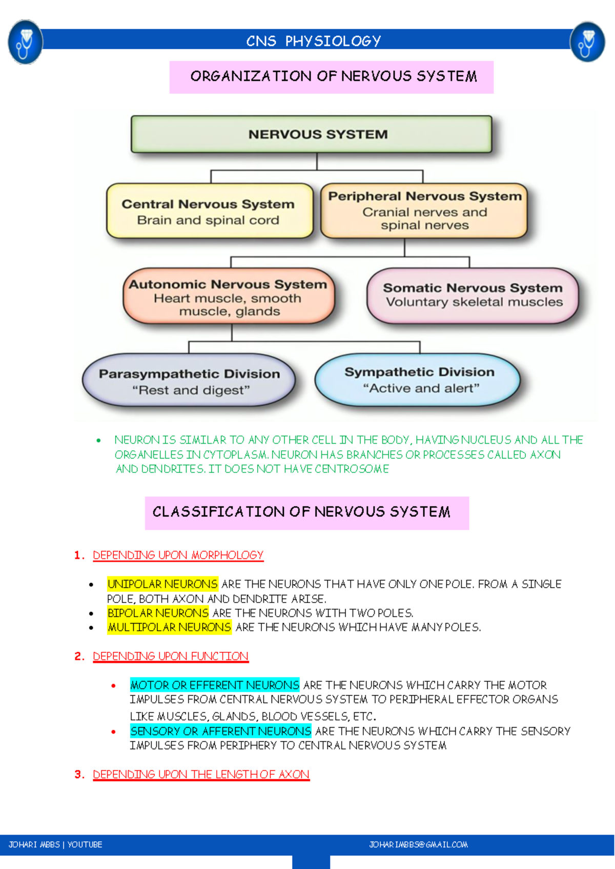 CNS Physiology: Understanding Neuronal Structure & Function (Module 36790378) - Studocu