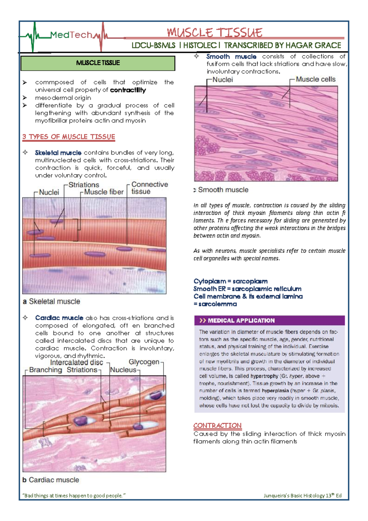 HISTOLEC l SEMI-FINALS l MUSCLE & NERVOUS TISSUES Overview - Studocu