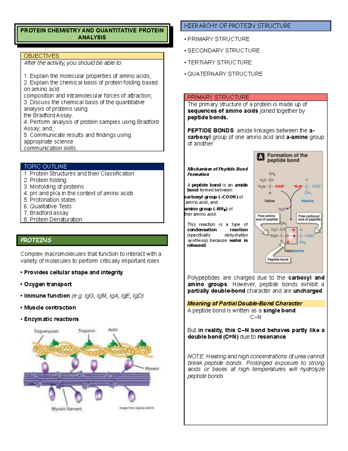 Biochem Lab Act 5: Protein Structure & Analysis Techniques - Studocu
