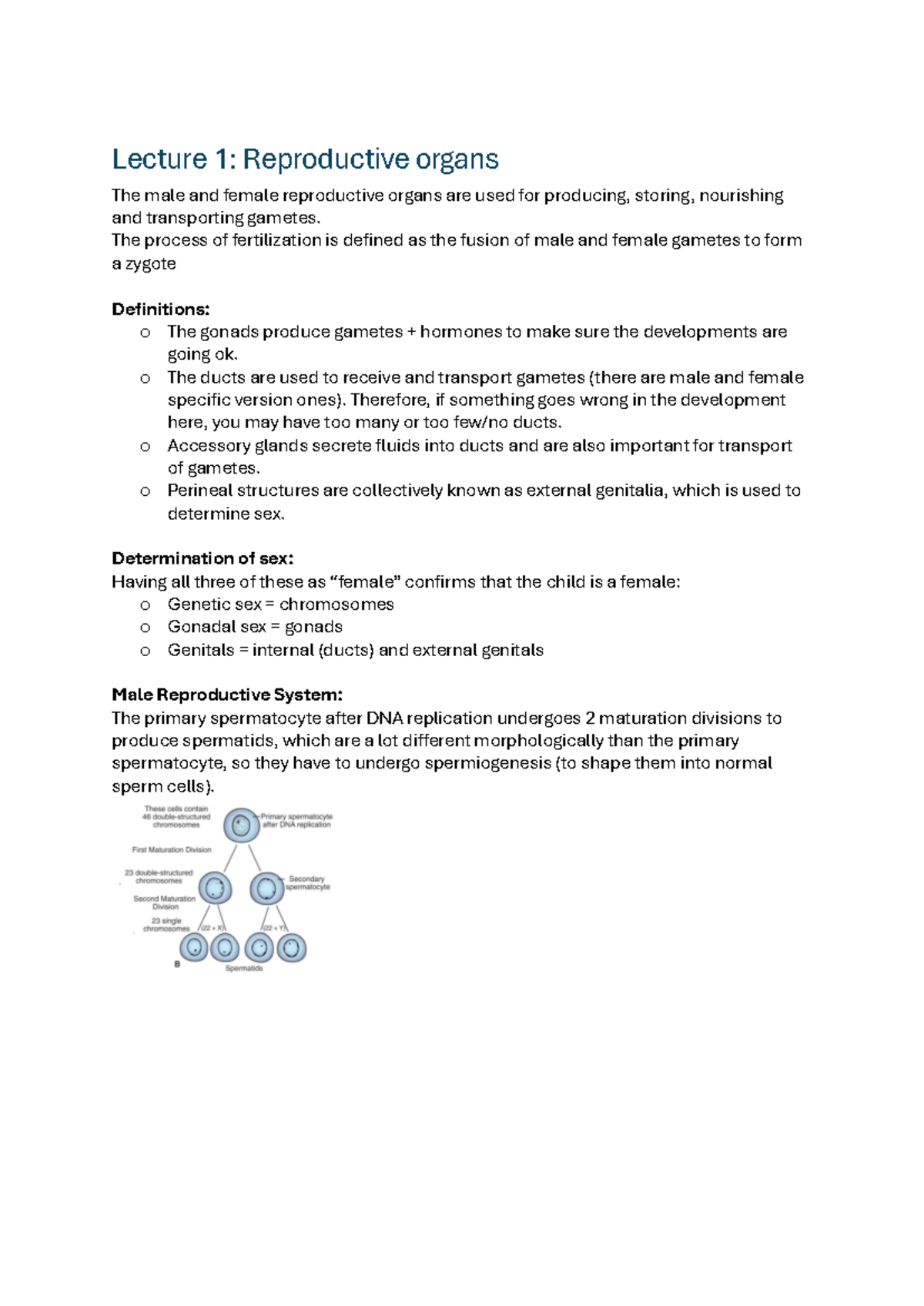 Human Development - Lecture Notes on Reproductive Systems and ...