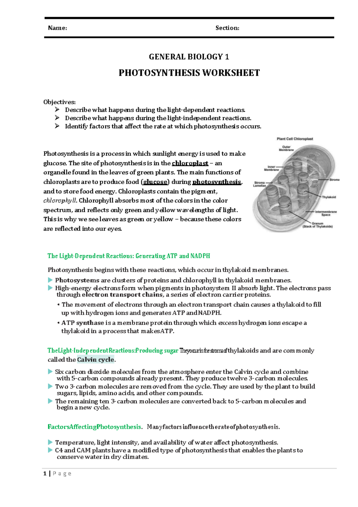BIO 101: General Biology 1 Photosynthesis Worksheet - Studocu