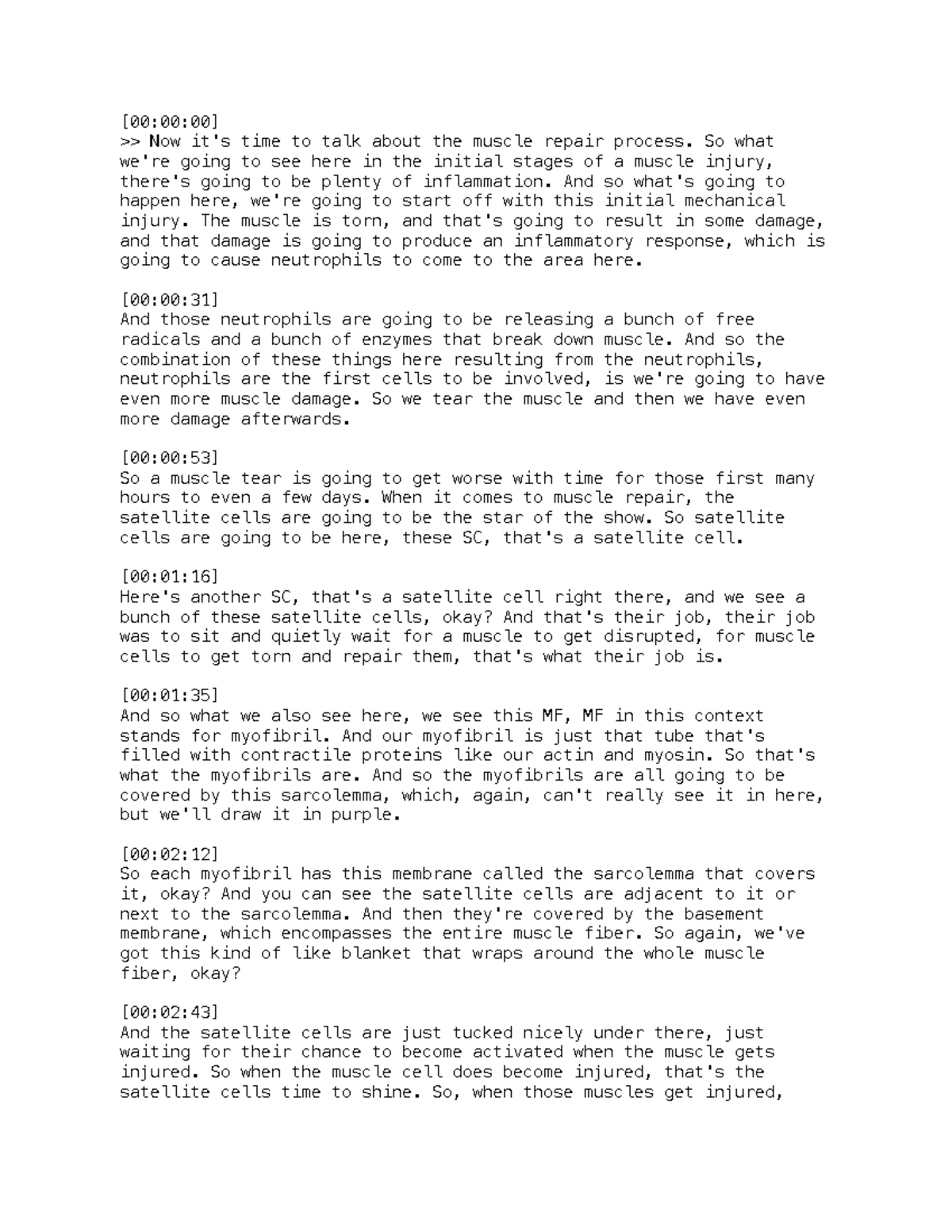 Muscle Injury and Repair Mechanisms: Satellite Cells & Myogenesis - Studocu