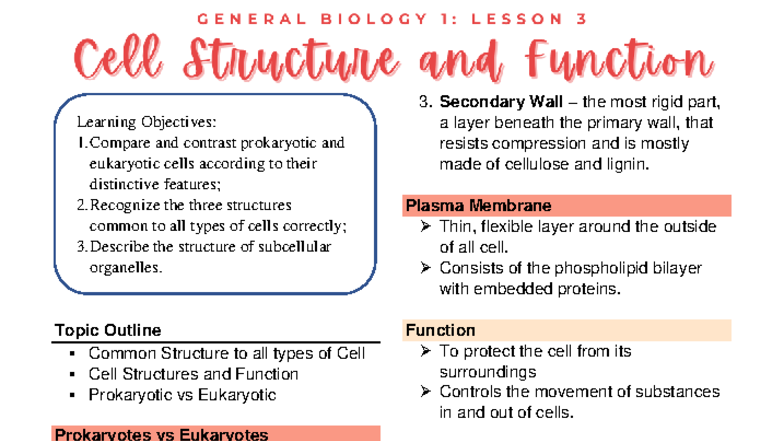 Cell Structures and Function: Prokaryotic vs Eukaryotic Cells - Studocu