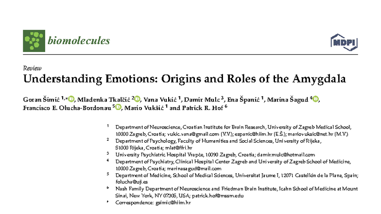Biomolecules 11:823 - Understanding Emotions and the Amygdala's Role ...