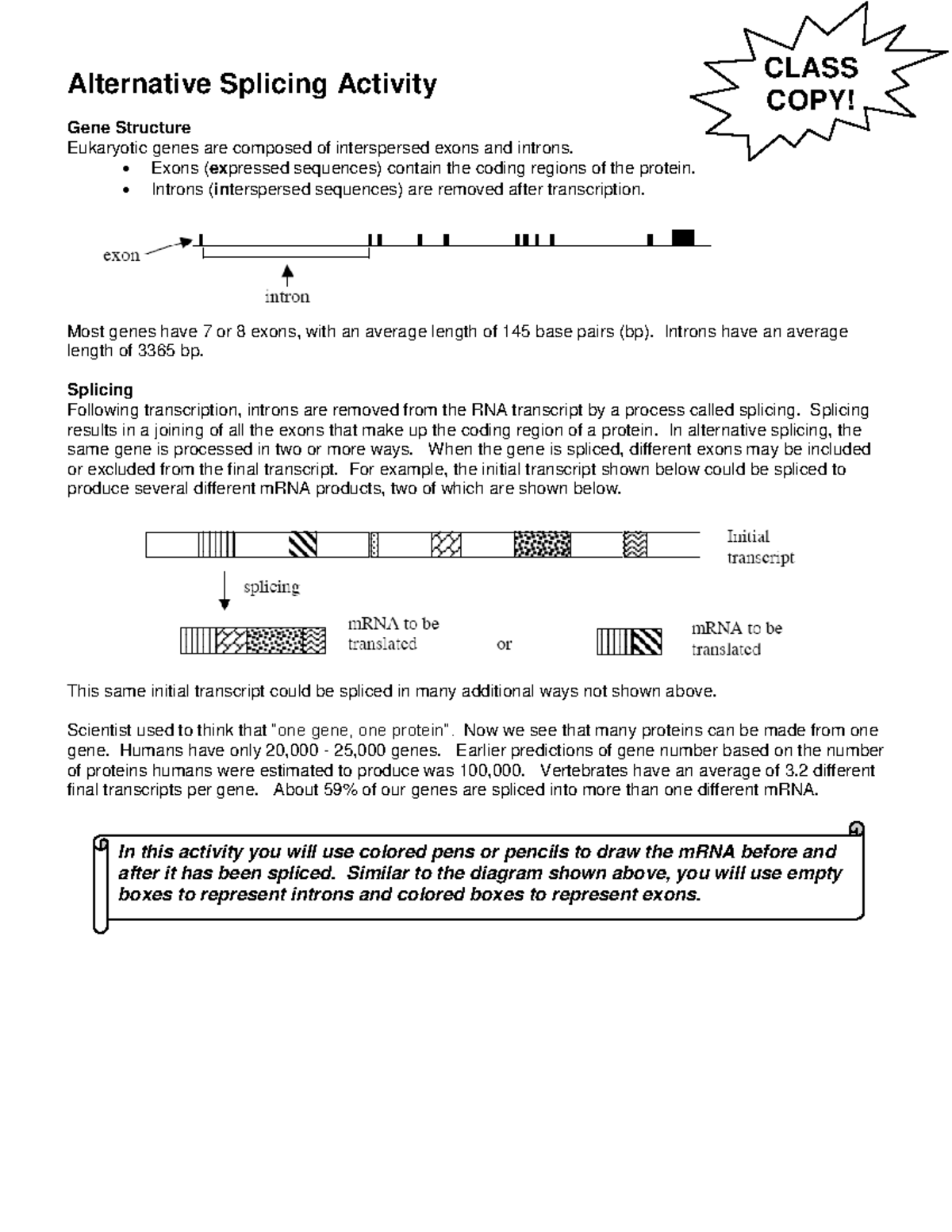 Alternative Splicing Activity: Understanding Gene Structure and ...