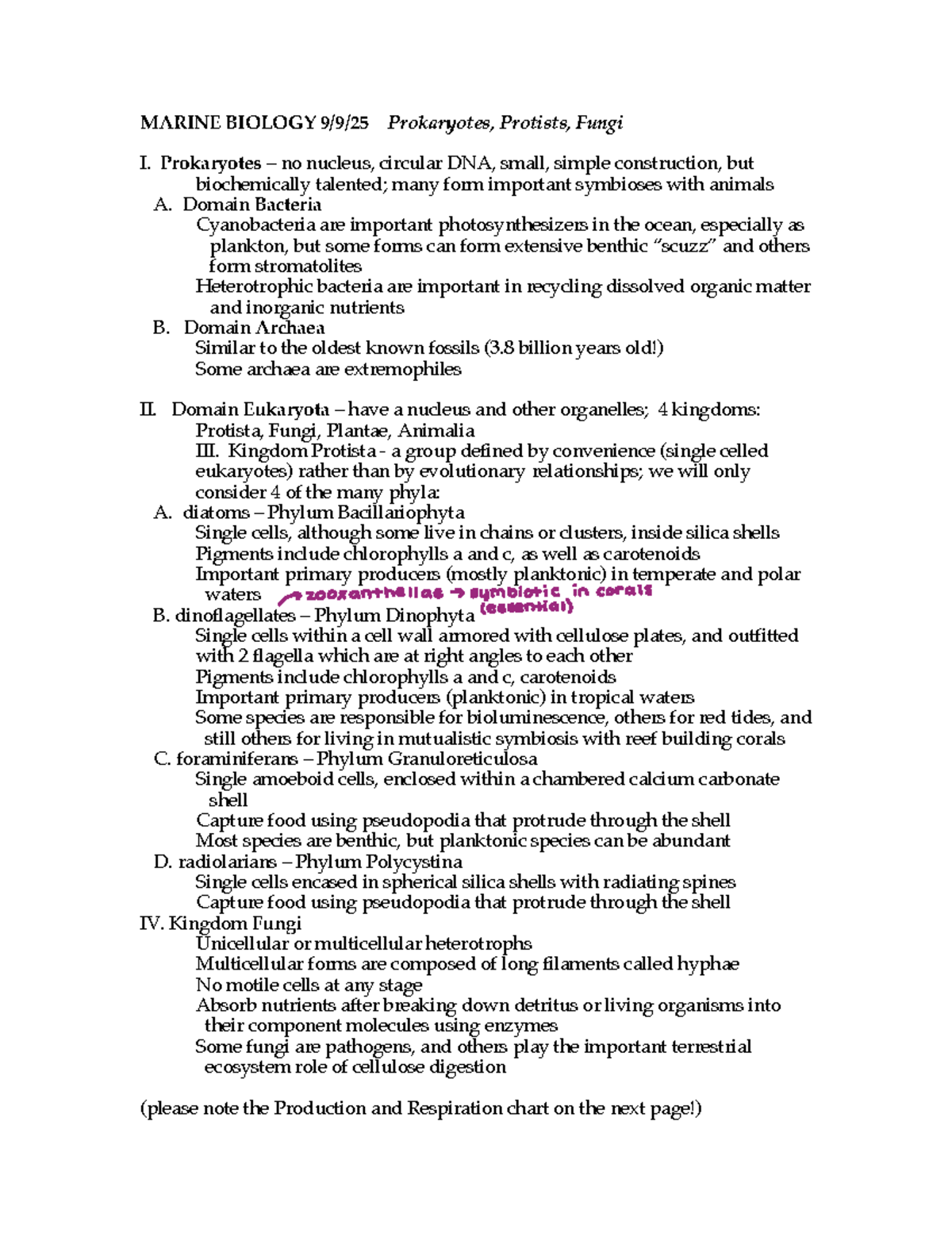 Marine Biology Lecture 5: Overview of Prokaryotes, Protists & Fungi ...