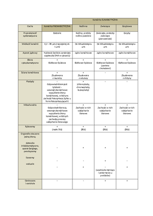 Historia - polon i rad - Odkrycie Marii Skłodowskiej-Curie ...