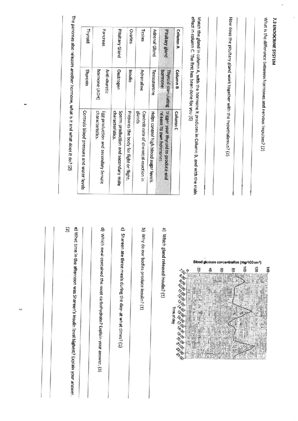 Revision Worksheets for Endocrine & Nervous System - Studocu
