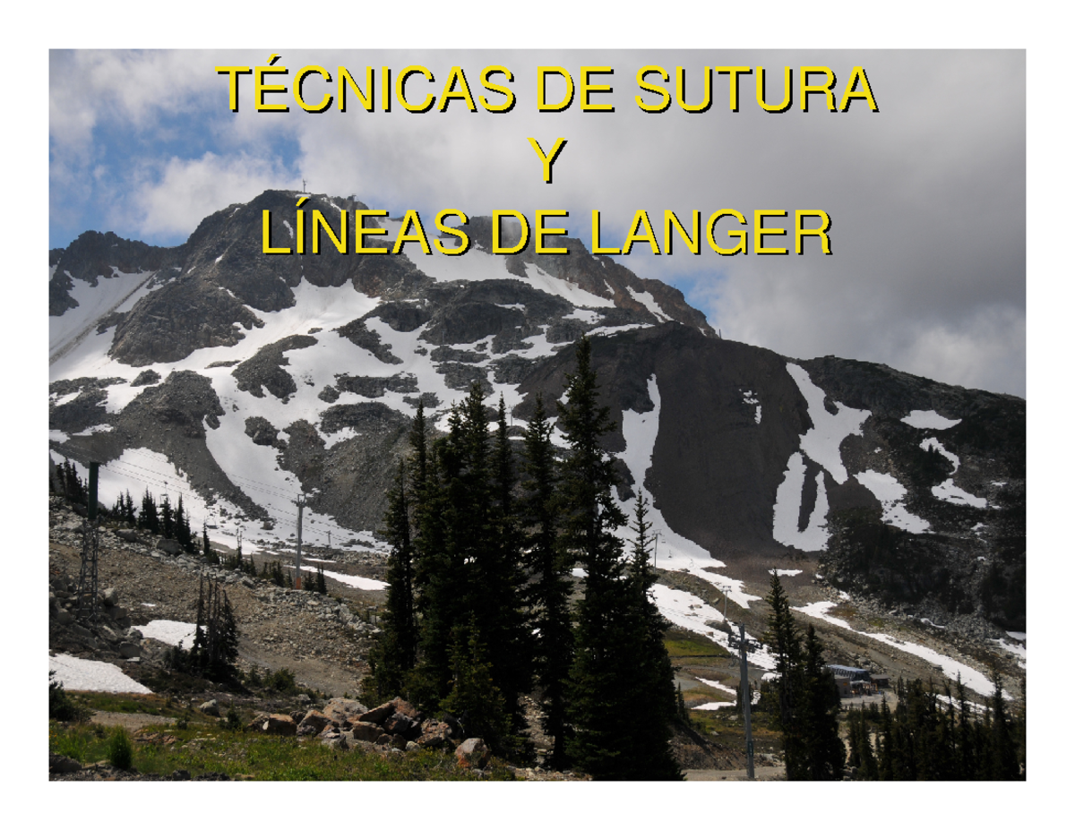 Técnicas de Sutura y Líneas de Langer - Guía Completa - Studocu