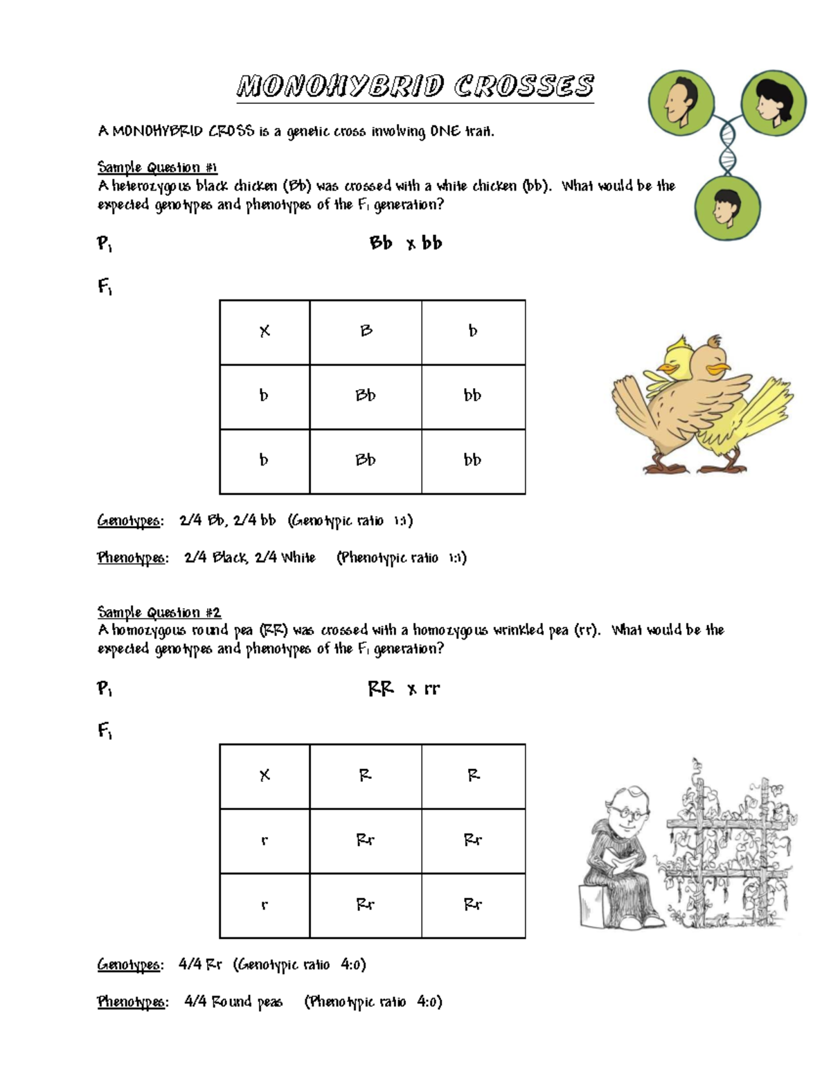 Monohybrid Crosses: Genetics Practice Questions - Studocu